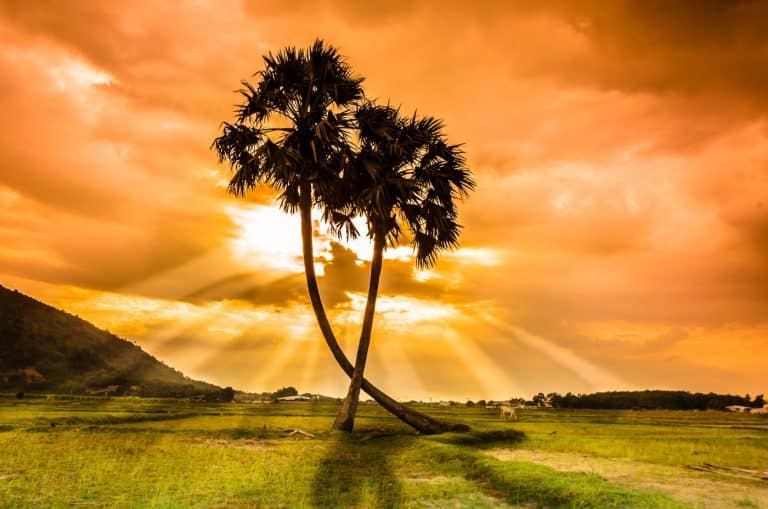 35 Good Day Quotes to Make Today Better Than Yesterday